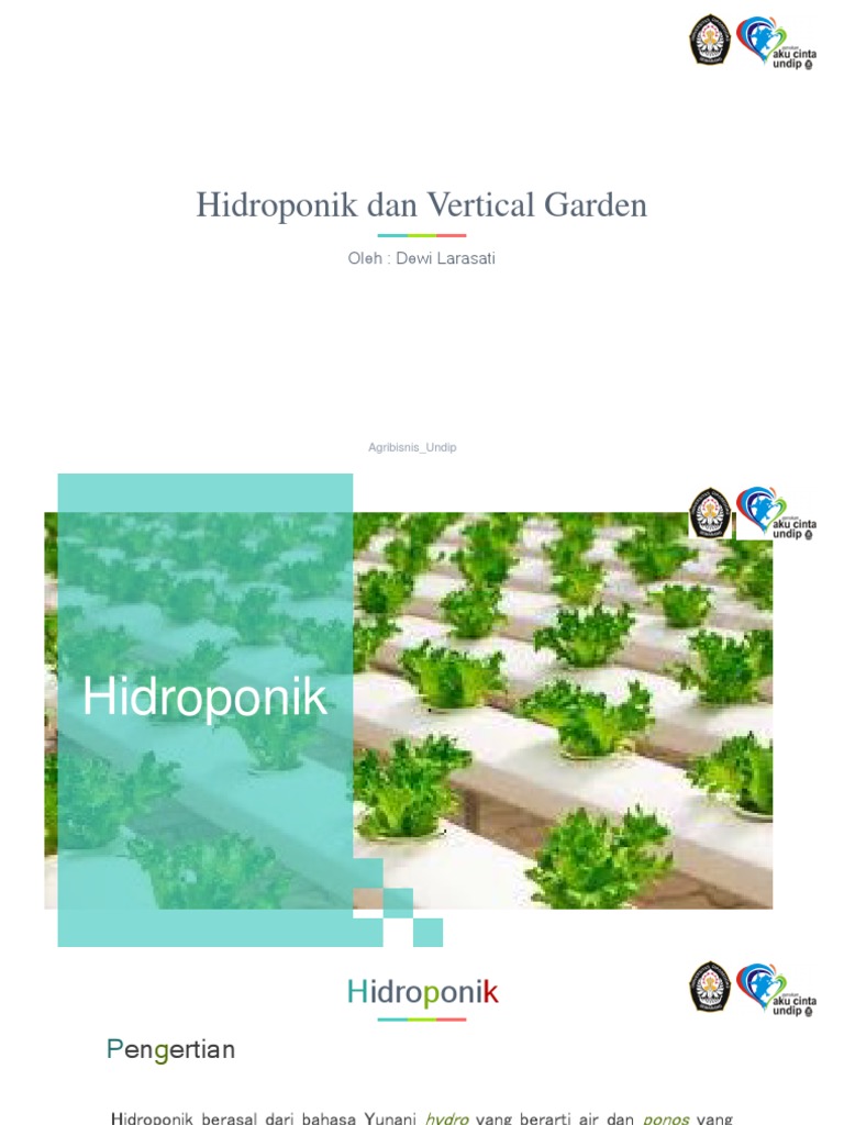 Hidroponik dan Vertical Garden | PDF