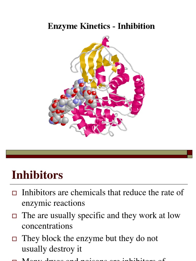 7 Kinetika Enzim Inhibitor | PDF | Enzyme Inhibitor | Enzyme