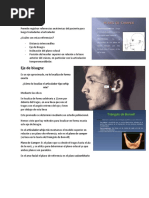 Perfiles Labiales | PDF