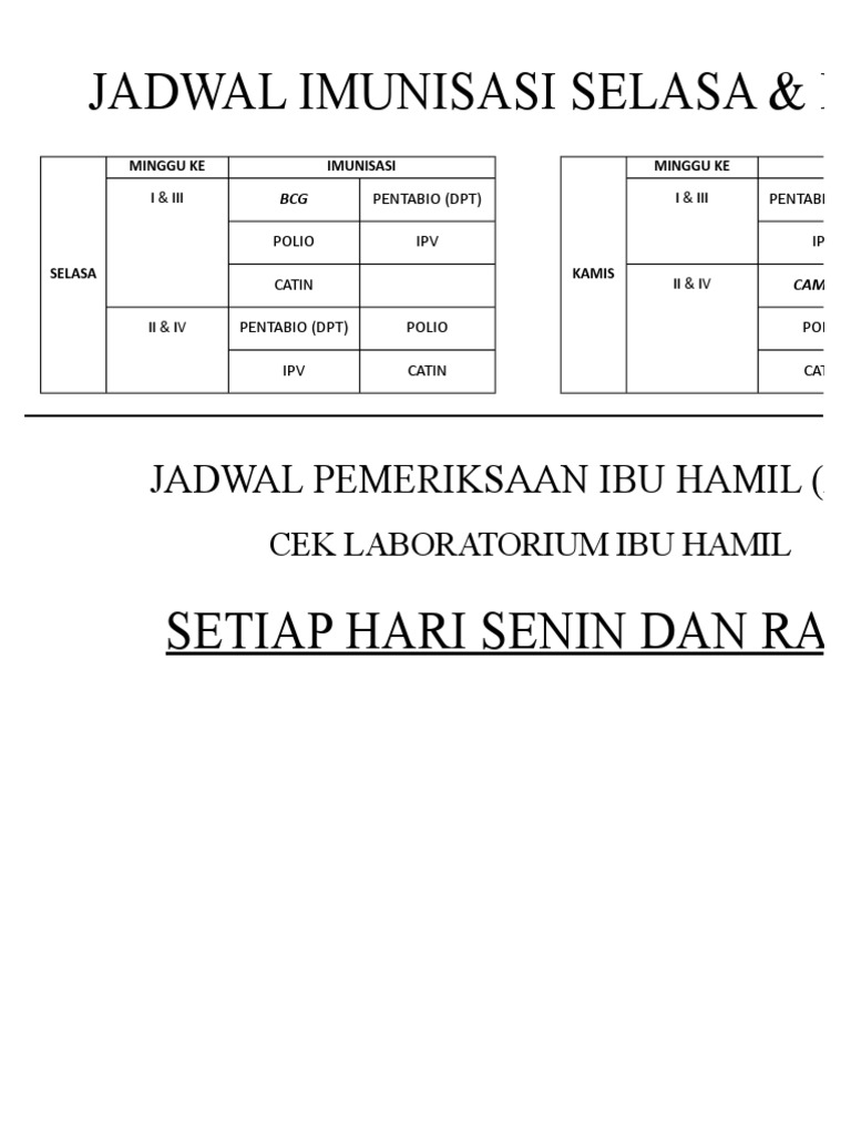 Jadwal Imunisasi Dan Anc | PDF