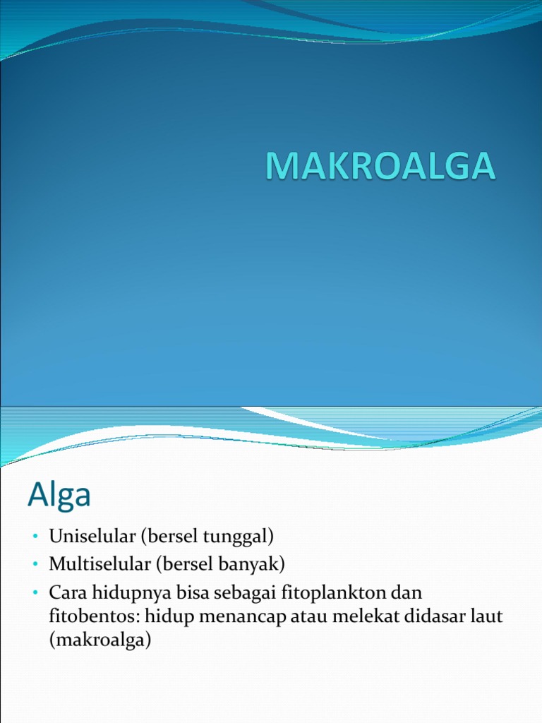 Makro Alga | PDF