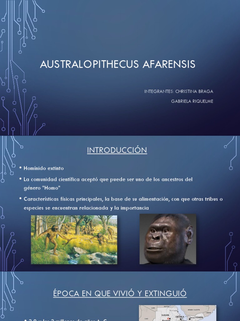 Características del Australopithecus Afarensis | PDF | Ciencia y ...