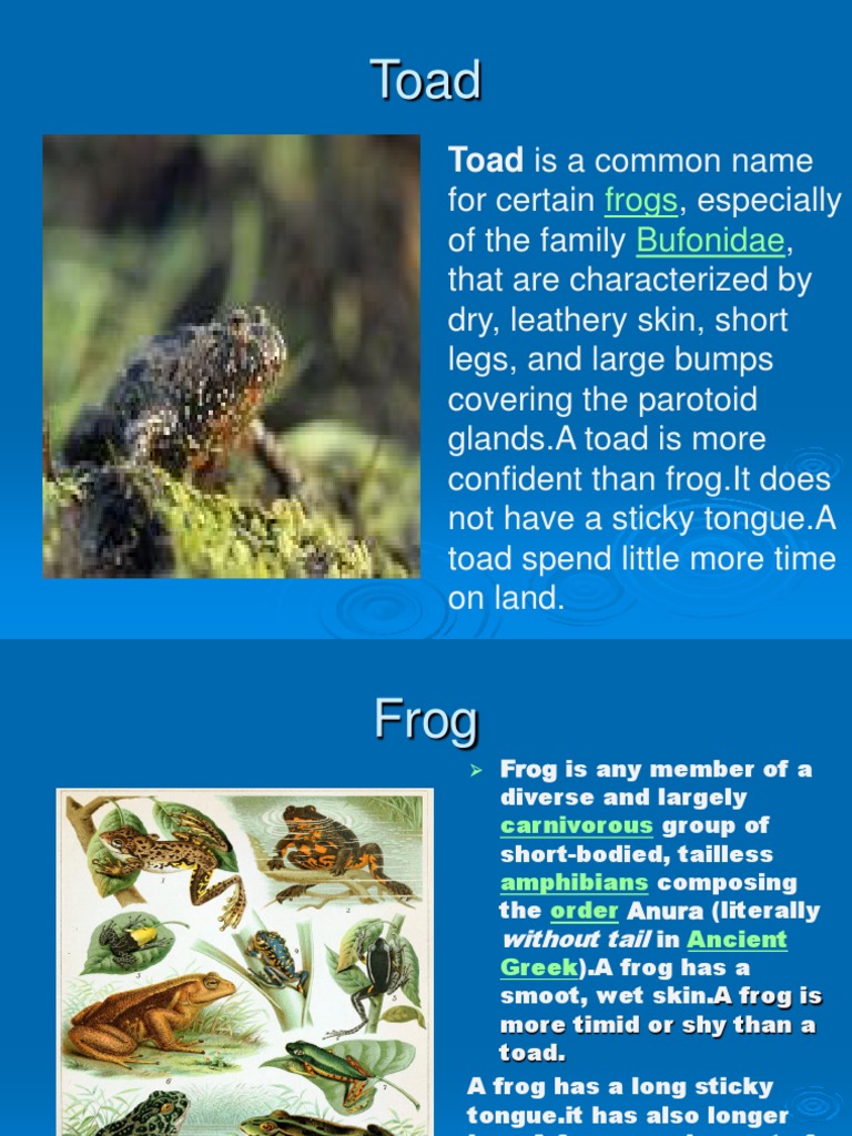 Comparing the Key Differences Between Toads and Frogs | PDF