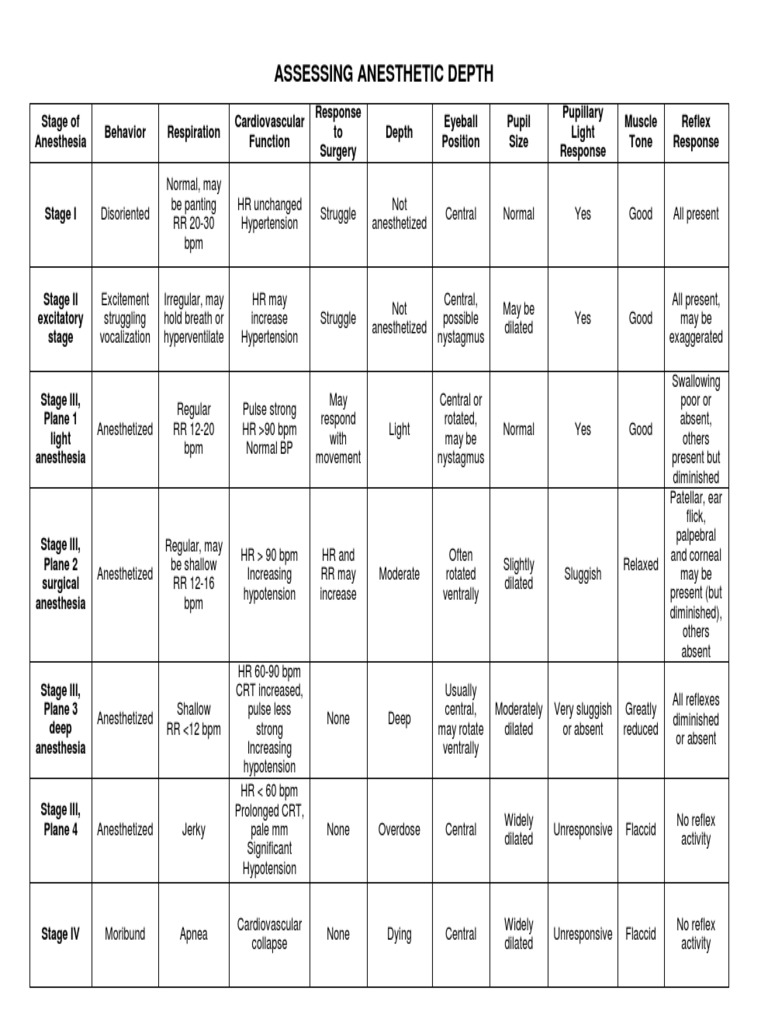 Anesthesia-Assessing Depth PDF | PDF | Anesthesia | Clinical Medicine