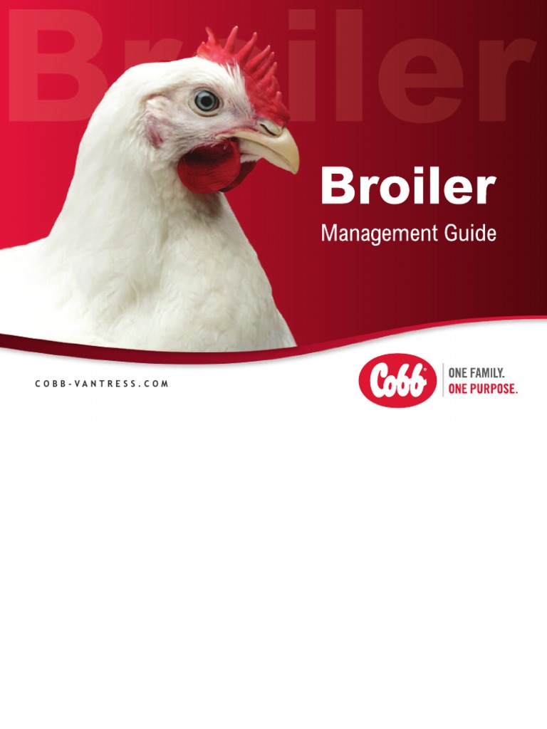 Cobb Broiler Management Guide 2023 | PDF | Building Insulation ...