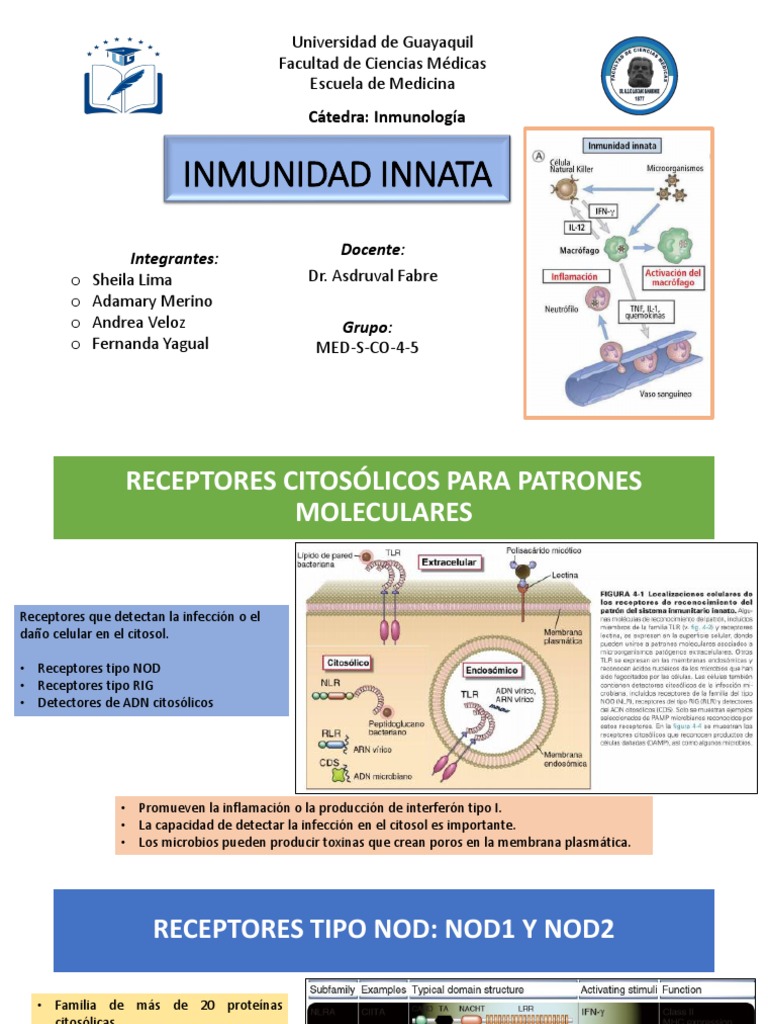 Inmunidad Innata | PDF | Sistema inmune | Inflamación