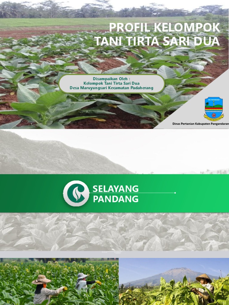 Profil Tirta Sari Dua | PDF