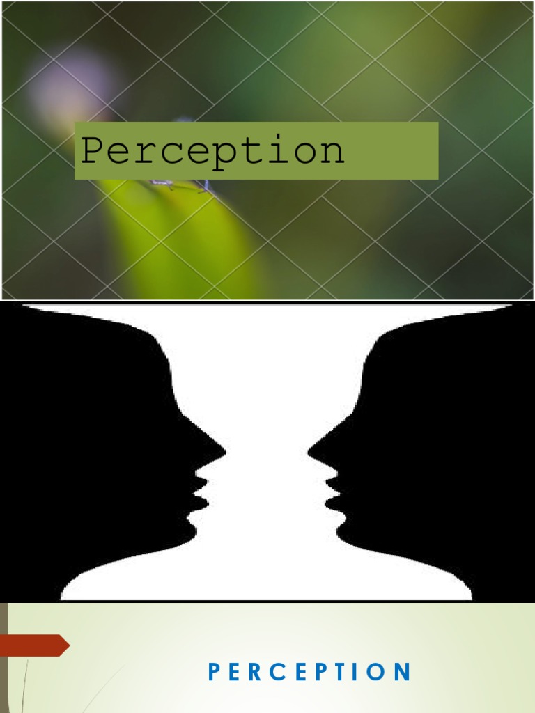 Perception | PDF | Perception | Subjective Experience