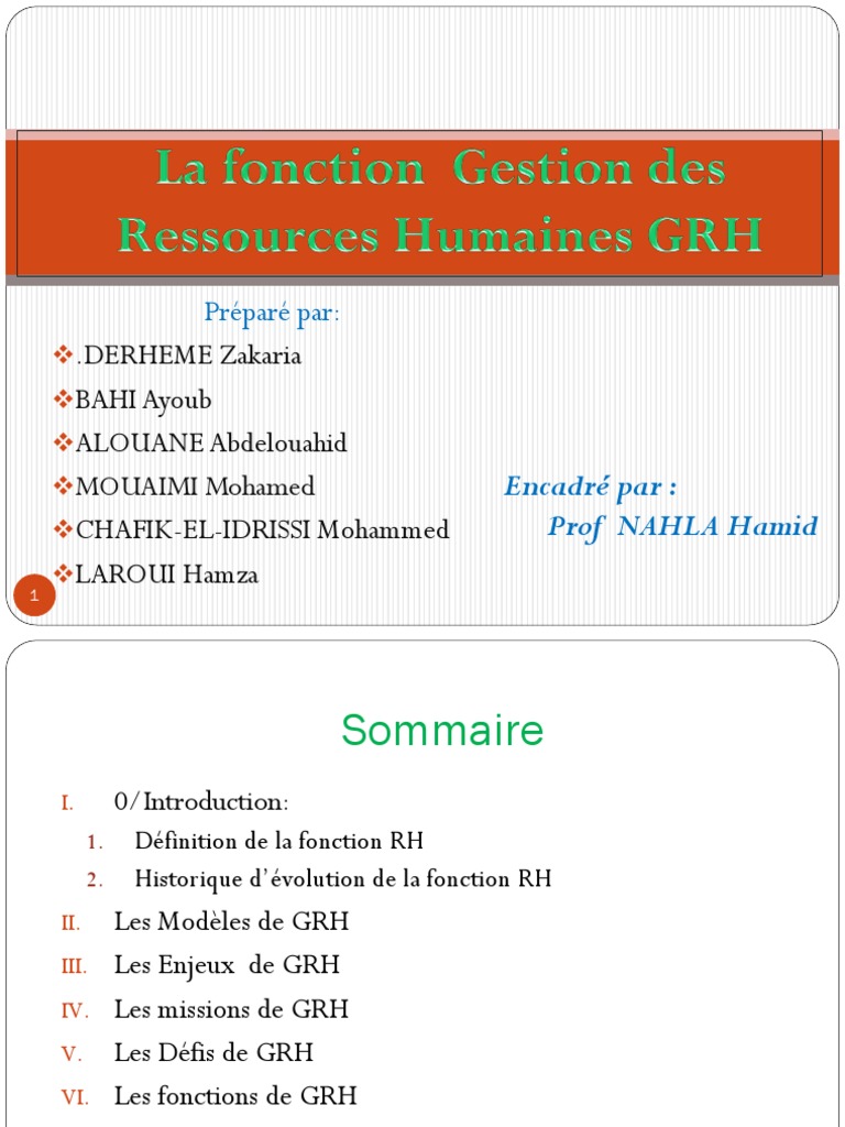 Fonction Ressources Humaines 1 | PDF | Gestion des ressources humaines ...