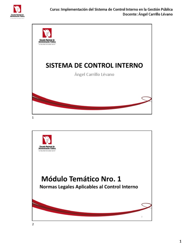 Curso de Control Interno en Gestión Pública | PDF | Administración ...