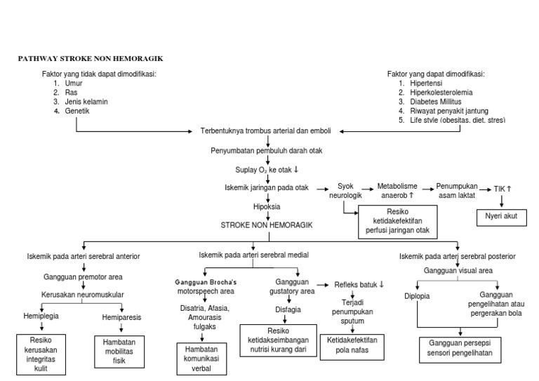 Pathway Stroke Non Hemoragik | PDF
