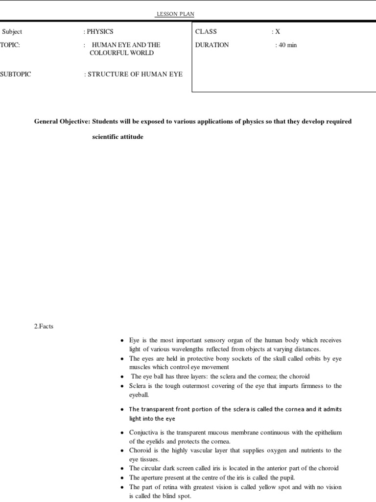 Lesson Plan Human Eye Class X | PDF | Human Eye | Cornea