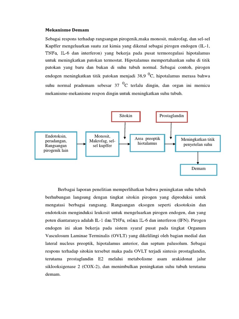 Mekanisme Demam | PDF