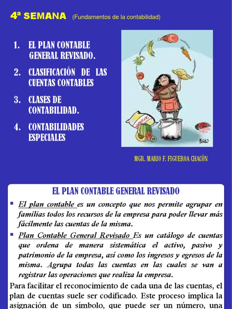 Plan Contable General Revisado | PDF | Contabilidad | Industrias de ...