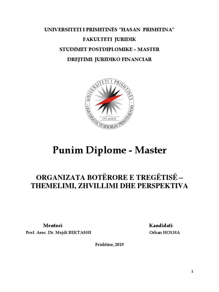 Tema e Diplomës - Ristrukturimi | PDF