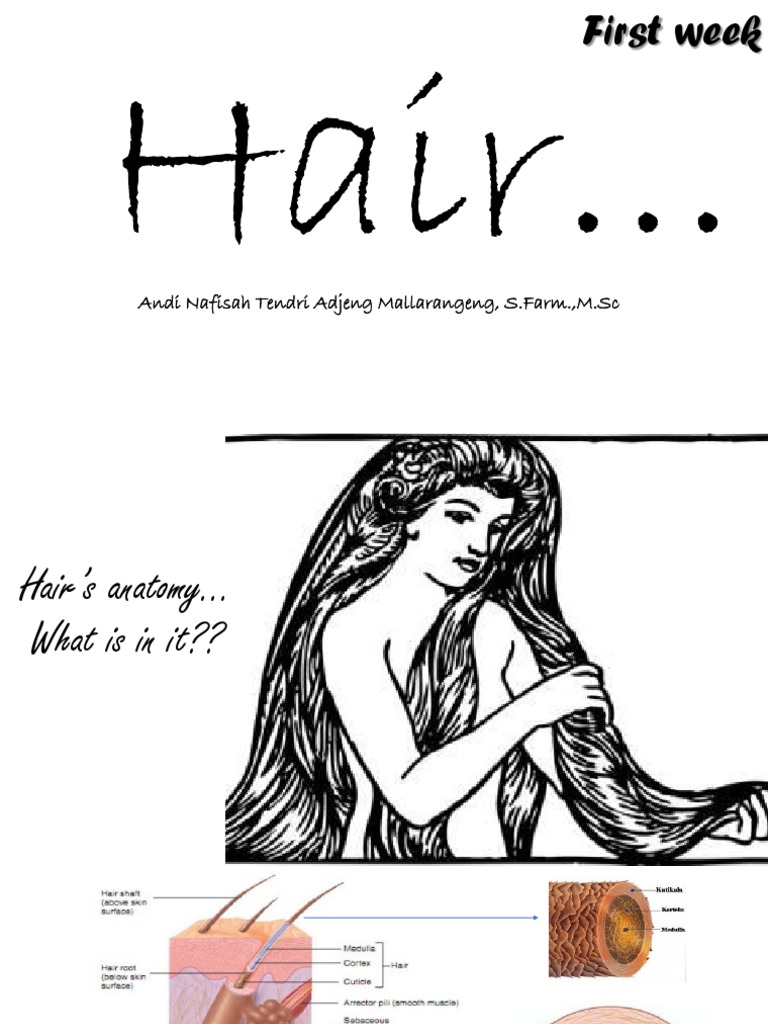 Hair | PDF