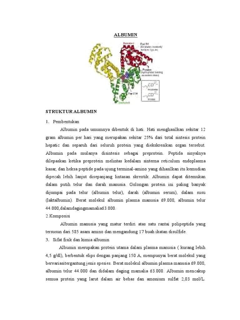 Struktur dan Fungsi Albumin dalam Tubuh | PDF