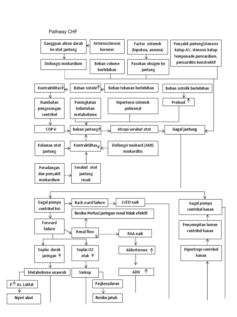 Pathway CHF | PDF