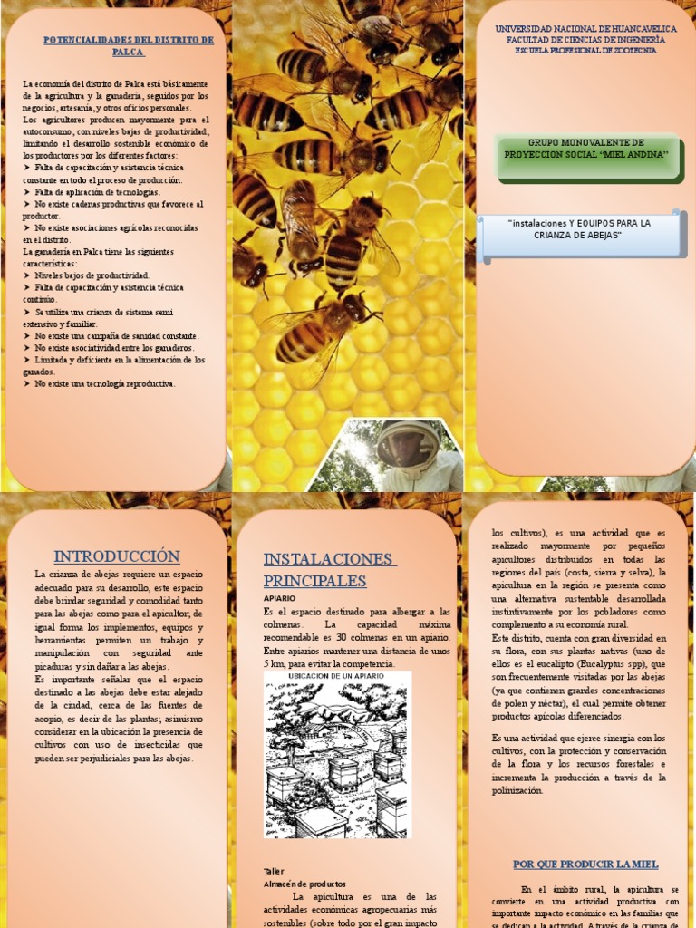 Triptico INSTALACIONES | PDF | Apicultura | Abejas