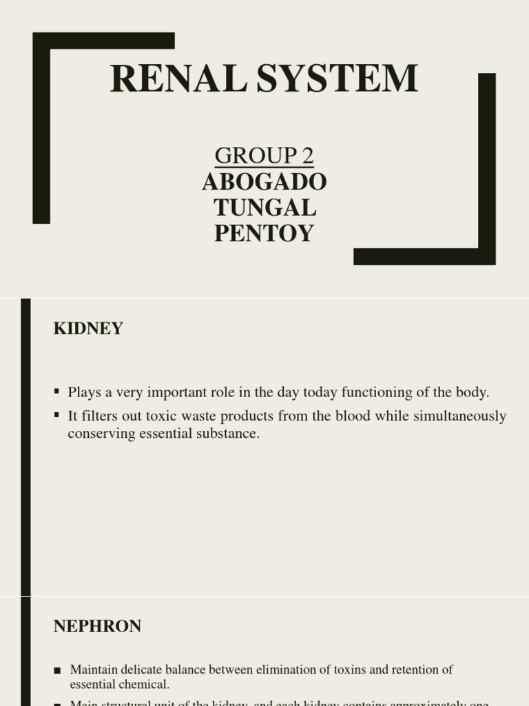 Renal System PPT Presentation | PDF | Kidney | Drugs