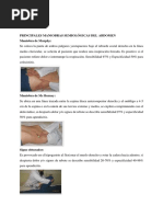 Maniobras y Signos de La Apendicitis | PDF | Gastroenterología | Medicina