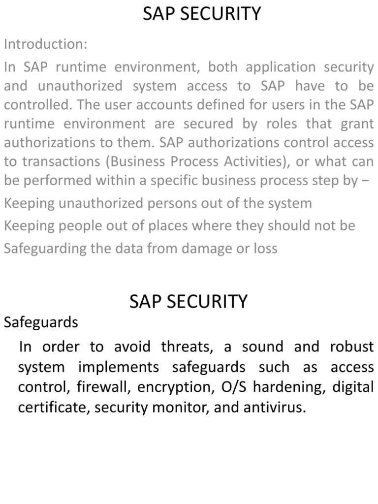Sap Security | PDF | Computer Security | Security