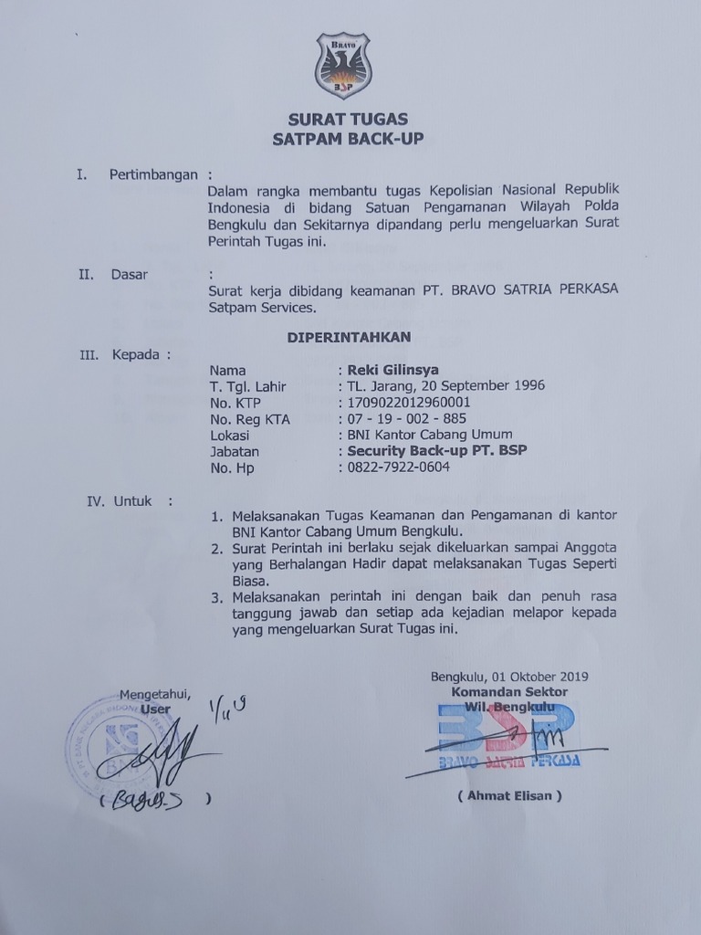 SPT Back-Up BSP PDF | PDF