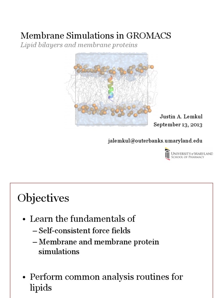 Membrane Simulations in GROMACS: A Guide to Performing Lipid Bilayer ...