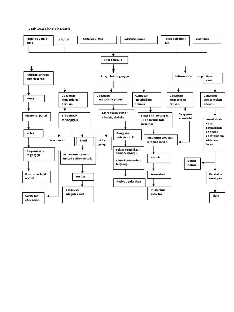 Pathway Dan Diagnosa Sirosis Hepatis Fix | PDF