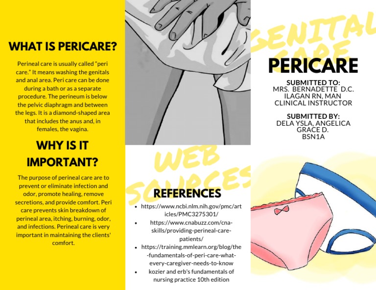 Perineal Care | PDF | Clinical Medicine | Pelvis