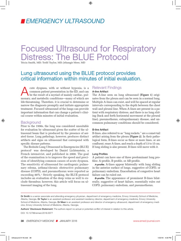 Blue Protocol | PDF | Lung | Medical Ultrasound