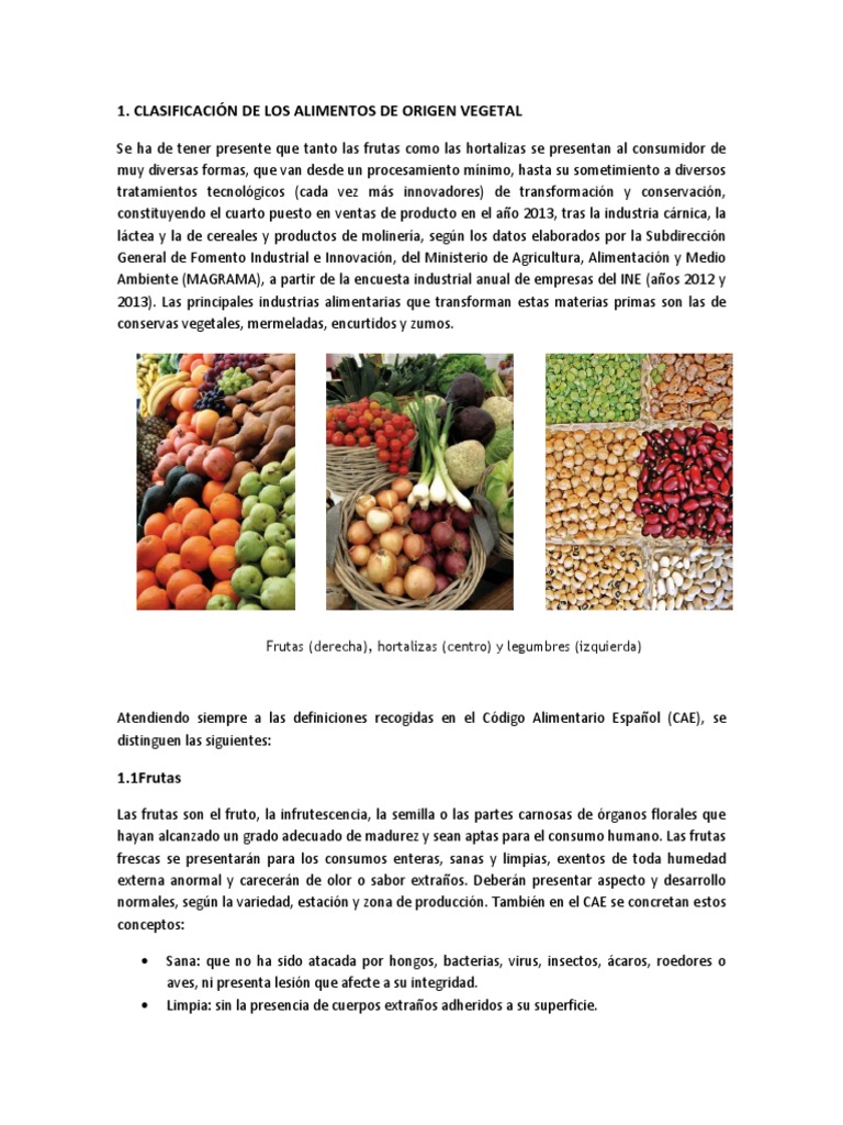 Alimentos de Origen Vegetal | Descargar gratis PDF | Cereales | Trigo