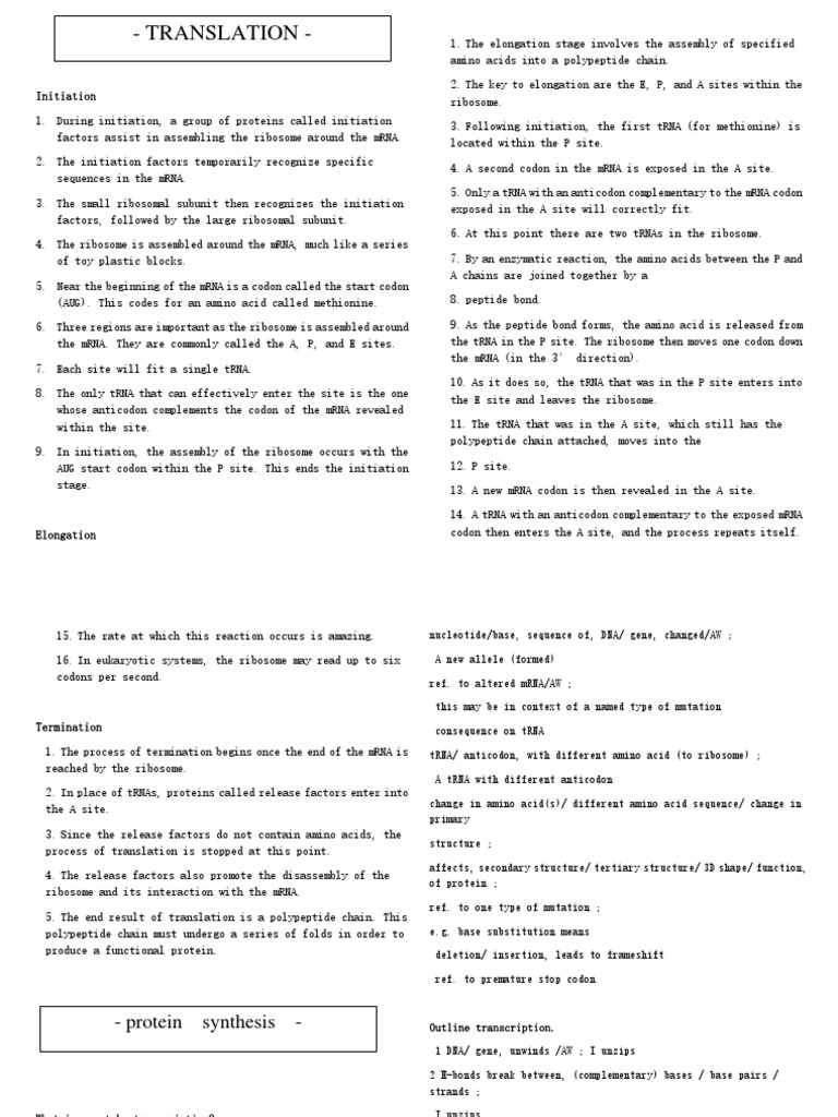 Dna Transcription Notes | PDF | Translation (Biology) | Ribosome