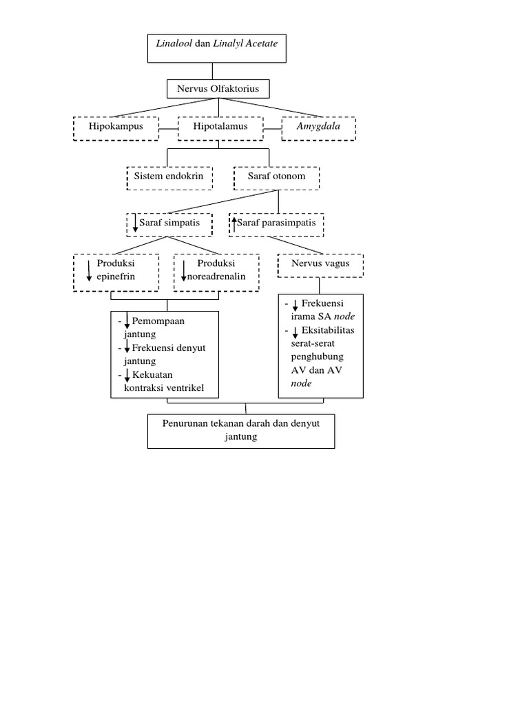 Peta Konsep Proposal | PDF
