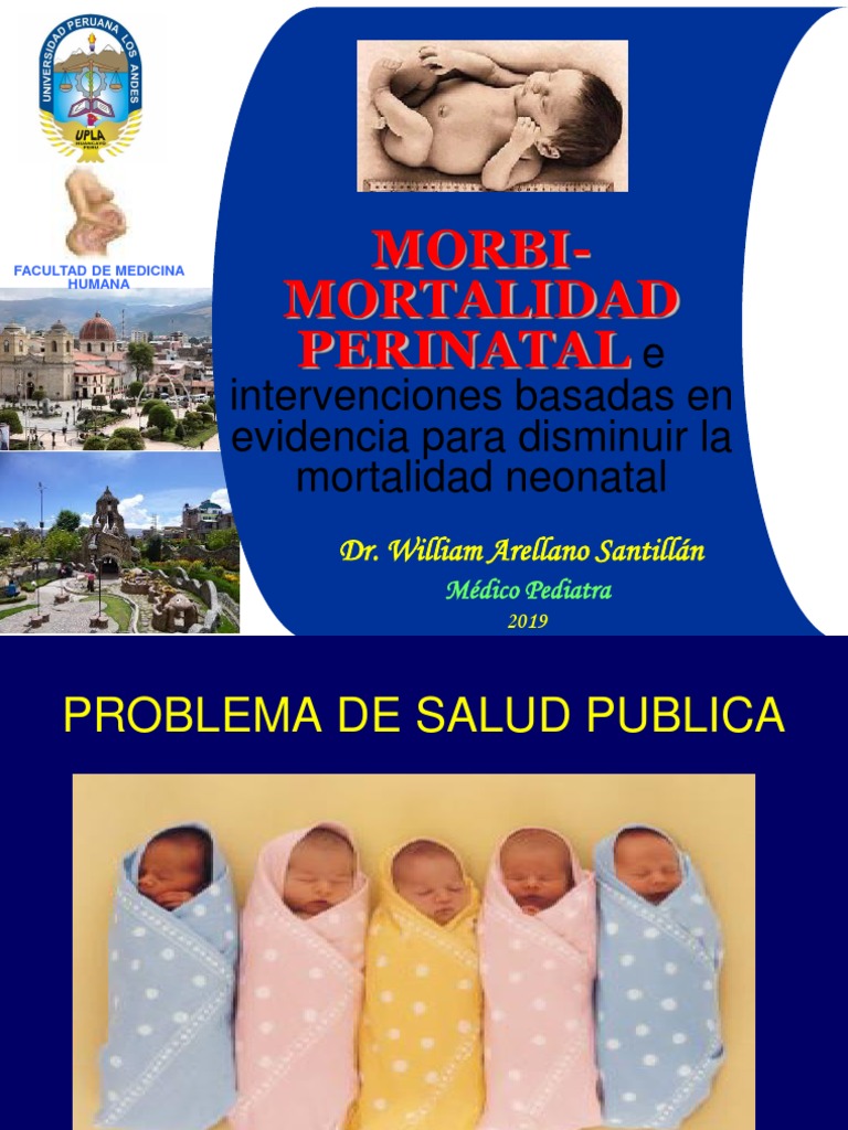 Mortalidad Perinatal | PDF | Infantes | Tasa de mortalidad