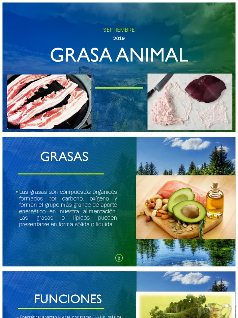 Grasa Animal | PDF | gordo | Lípido