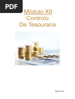 Mapa de Tesouraria Mensal Excel | PDF | Finanças e Administração de Capital