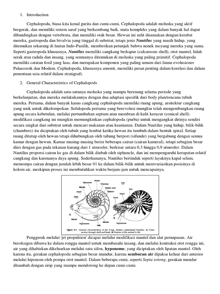 Cephalopoda | PDF | Ilmu Sosial | Sains & Matematika
