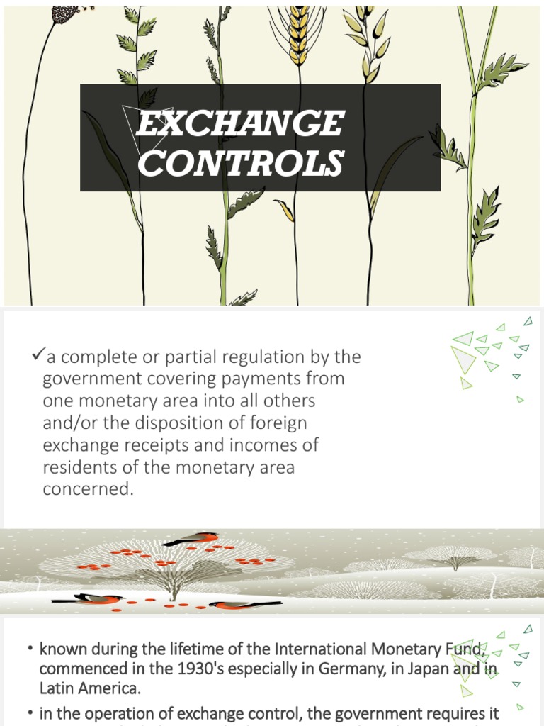 Exchange Controls | PDF | Trade | Foreign Exchange Market