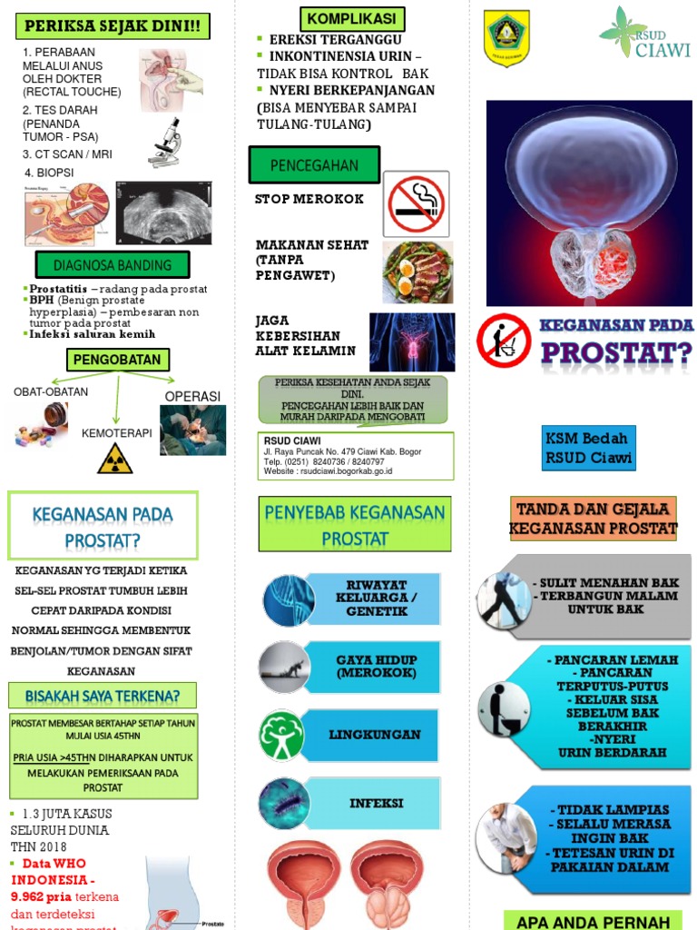 LEAFLET Tumor Prostat