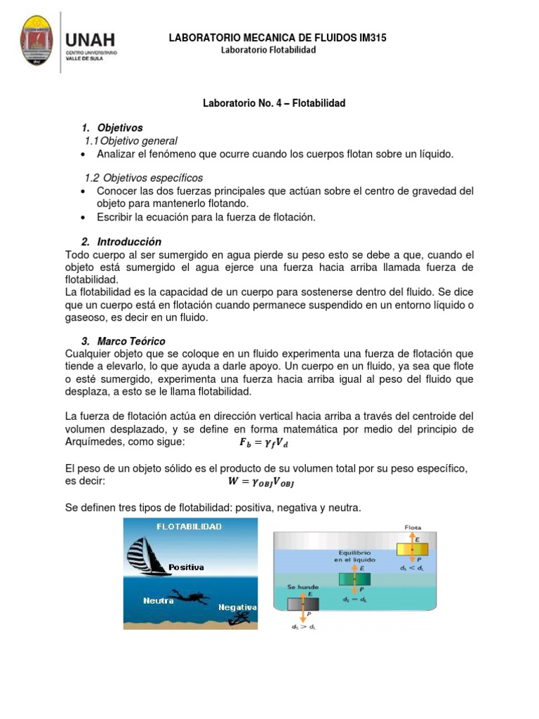 Laboratorio Flotabilidad | PDF | Líquidos | Física