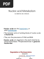 Nucleic Acid Metabolism | PDF | Nucleic Acids | Nucleotides