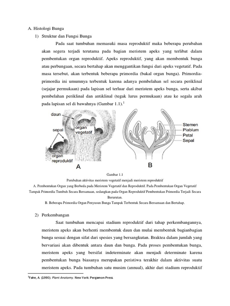 Histologi | PDF | Griya & Taman | Kesehatan Holistik