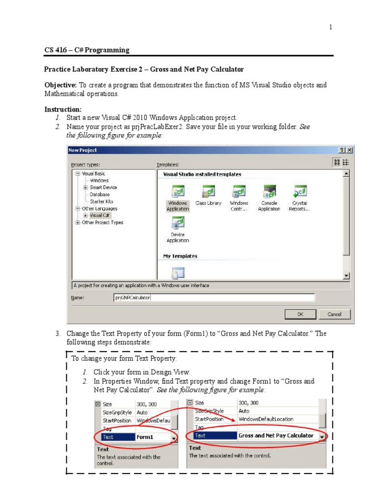 CMPE 30032 Practice Laboratory Exercise 2 | PDF | Gross Income | Income