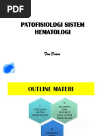 Anemia Normositik Normokrom | PDF