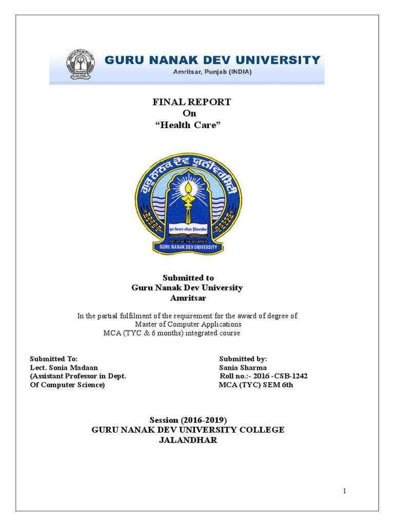 Health Care Project Report for MCA | PDF | Spreadsheet | Microsoft Excel