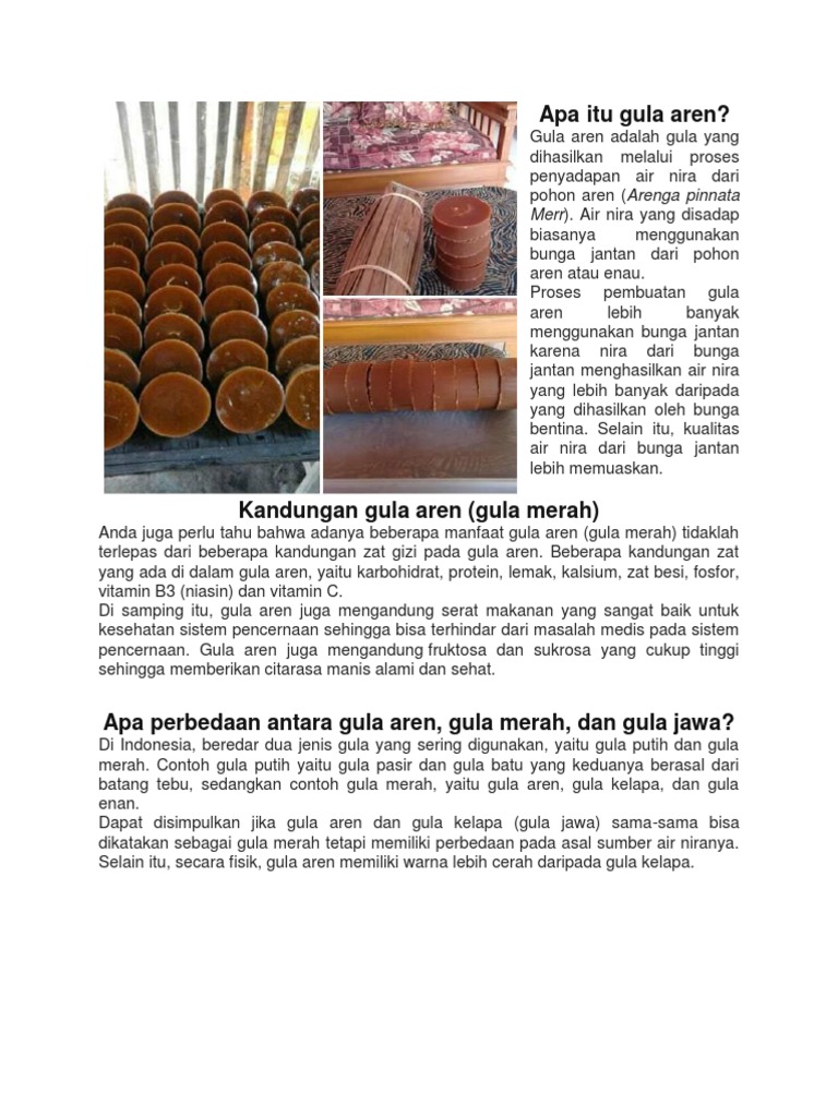 10 Manfaat Gula Aren | PDF