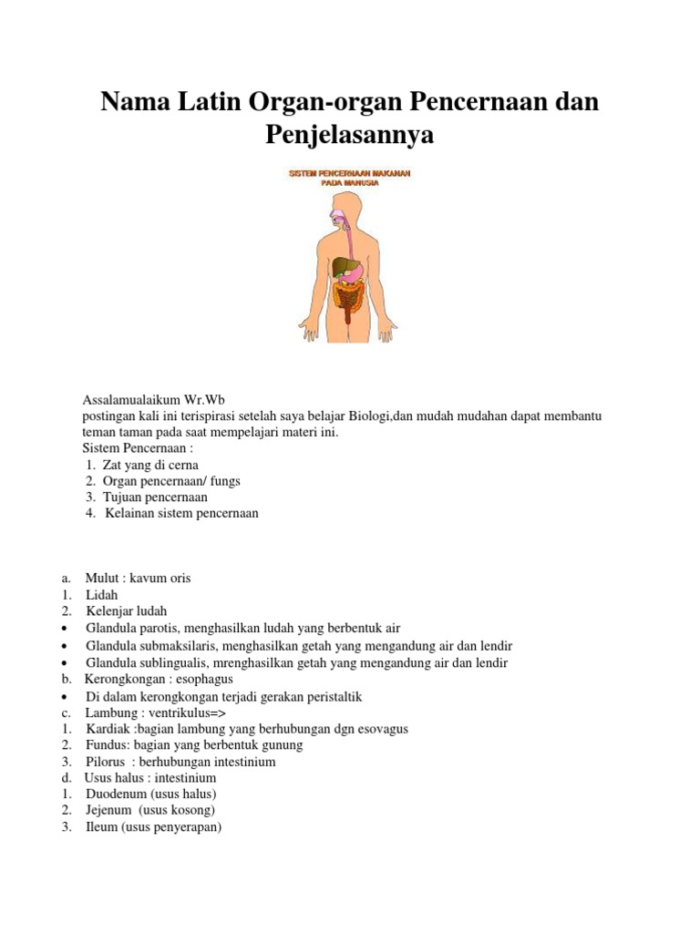 Nama Latin Organ | PDF