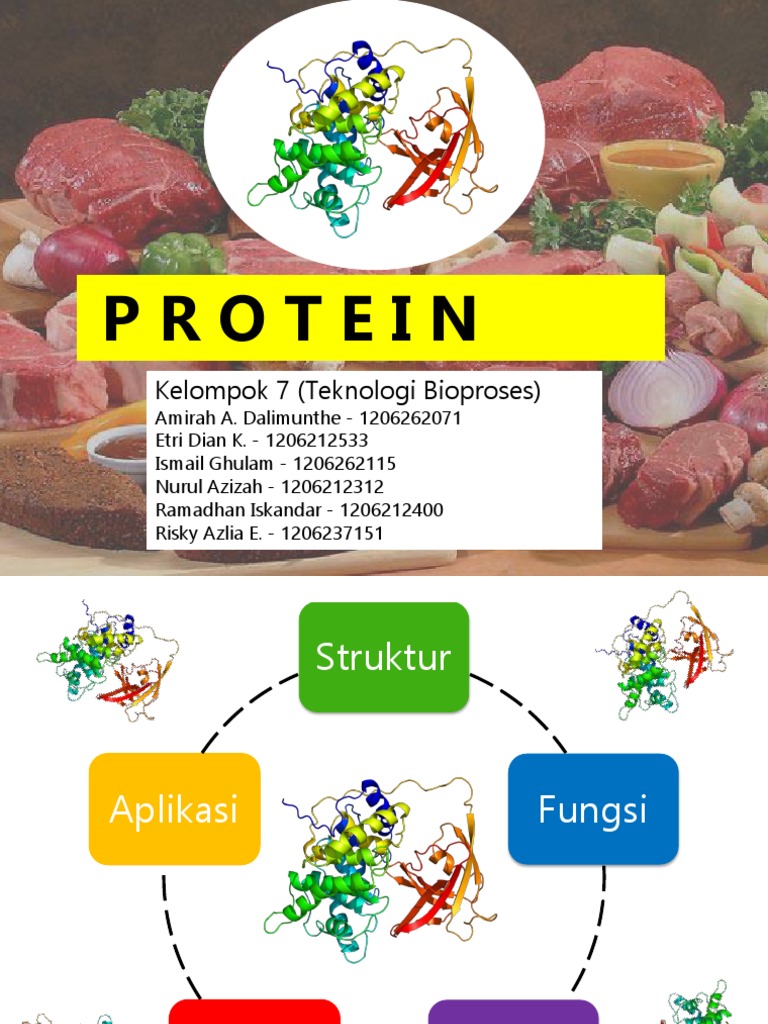 Protein - HG2 | PDF