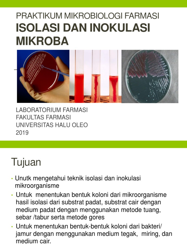 Isolasi Dan Inokulasi | PDF
